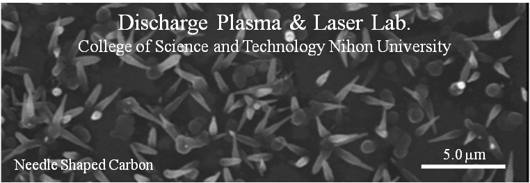 Home Page of DPL Laboratory